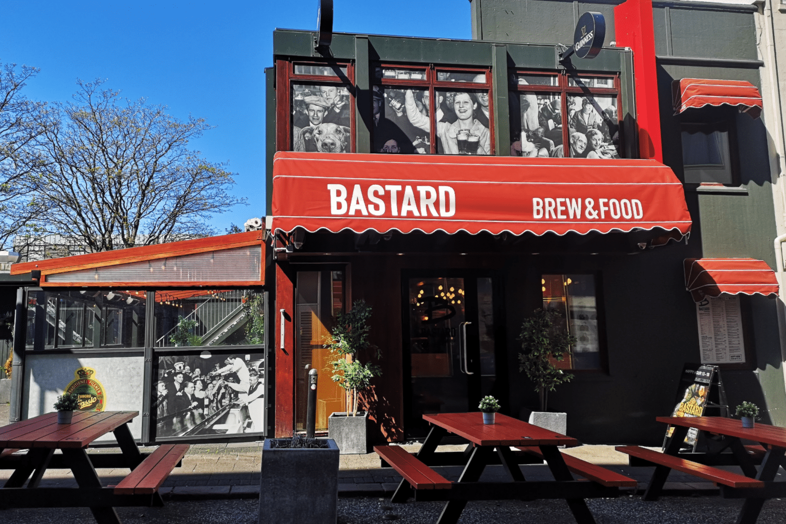 Reykjavik's Best Restaurants: From Fine Dining to Hidden Gems – Traveo